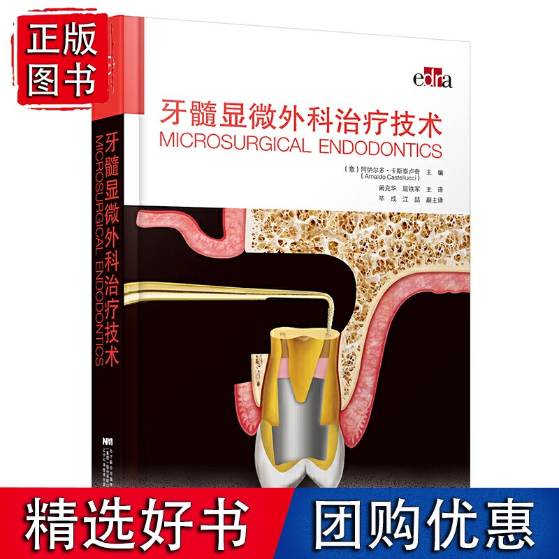 牙髓显微外科治疗技术