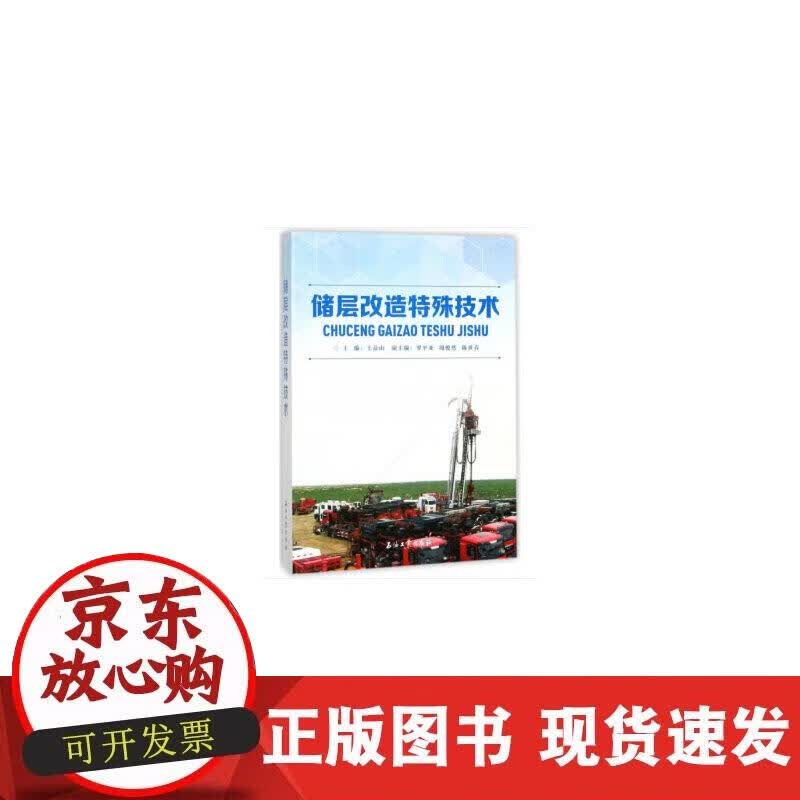【现货】储层改造特殊技术
