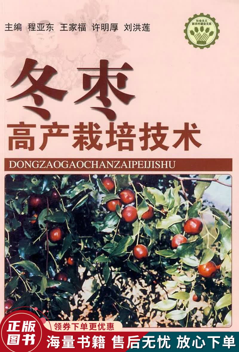 冬枣高产栽培技术