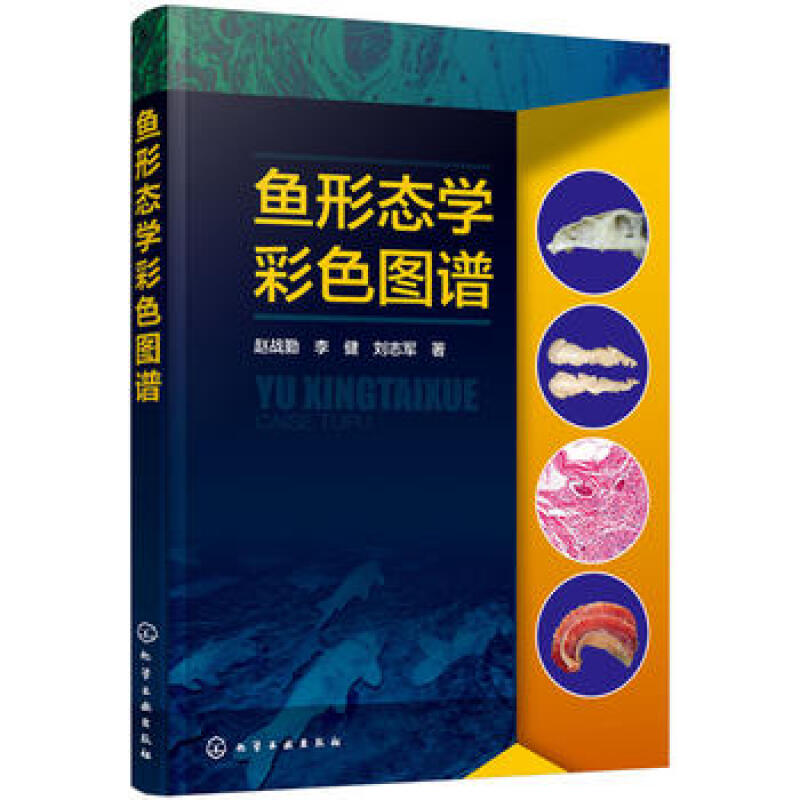 鱼形态学彩色图谱 鱼类解剖形态组织 鱼类动物图谱 养鱼鱼类知识详解