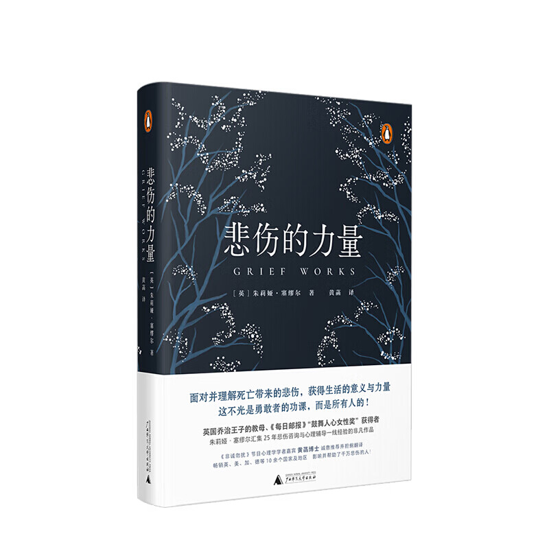 新民说 悲伤的力量