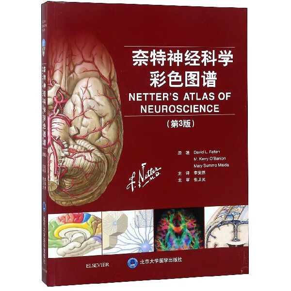 奈特神经科学彩色图谱(第3版) 9787565917486