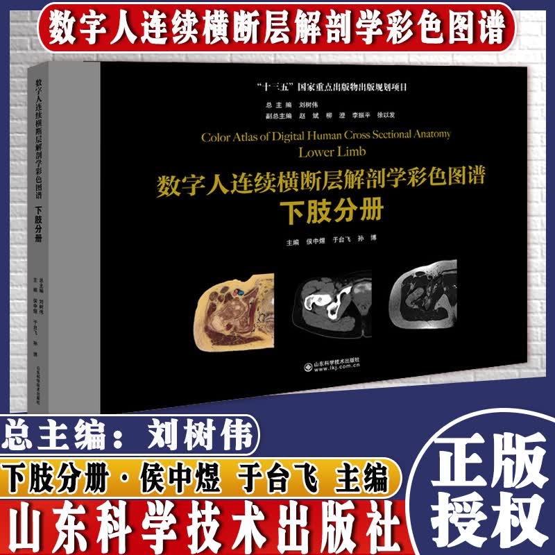 数字人连续横断层解剖学彩色图谱下肢分册山东科学技术出版社9787572306808侯中煜于台飞孙