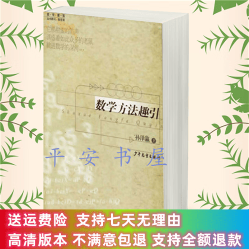 定制款  数学方法趣引 孙泽瀛著 数学魔笛 7-5324-6659-0 少年儿童2005.08