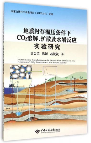 【以此标题为准】地质封存温压条件下CO2溶解、扩散及水岩反应实验研究 专著 Experimental simulat