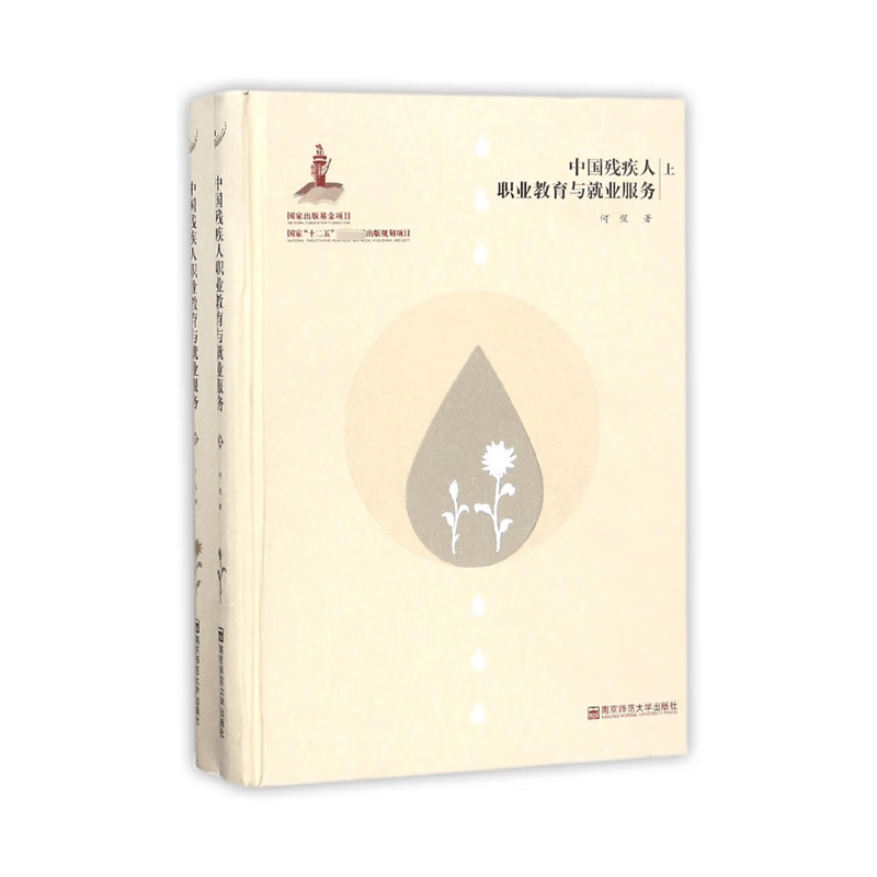 中国残疾人职业教育与就业服务(上下)(精)