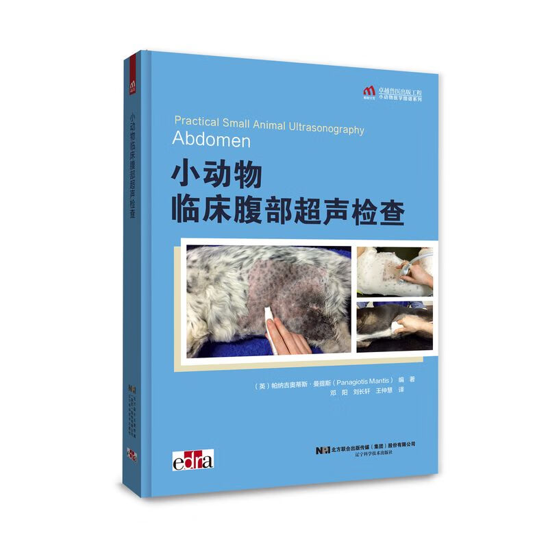 小动物临床腹部声检查