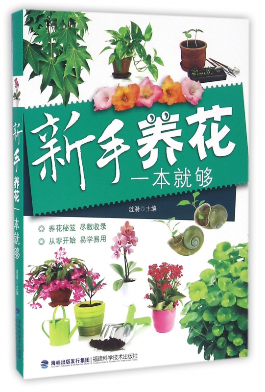 新手养花一本就够