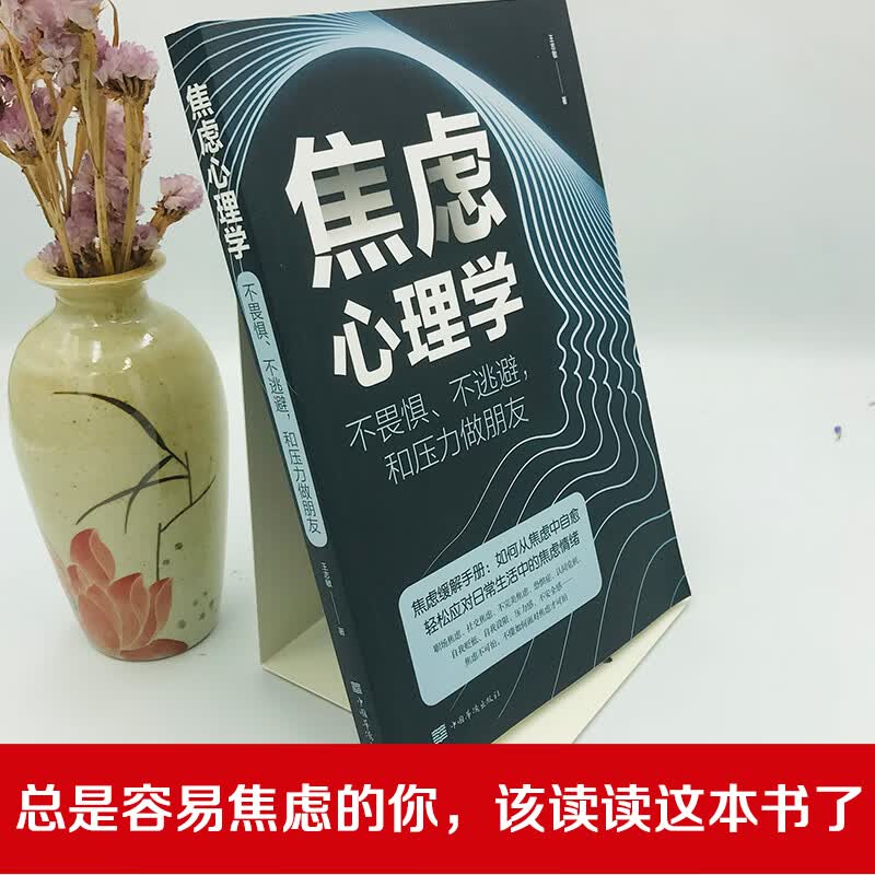 速发 焦虑心理学 不畏惧不逃避和压力做朋友王志敏著中国华侨心理学书籍M