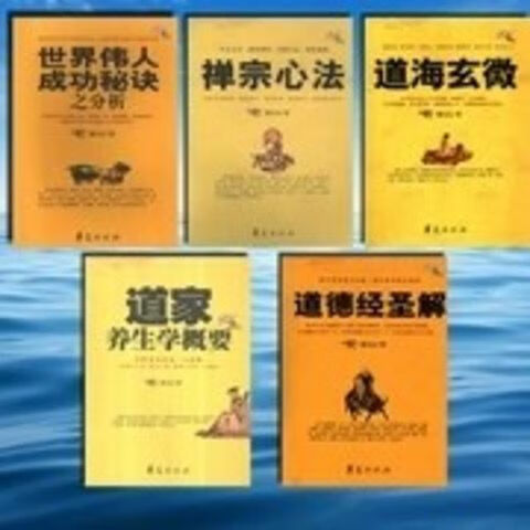 道家养生学概要 禅宗心法 道海玄微 道德经圣解 等 萧天石 五本 全套5本
