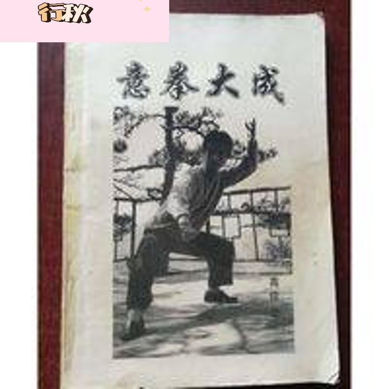 意拳大成 高臣意拳大成拳教材 意拳大成 意拳大成