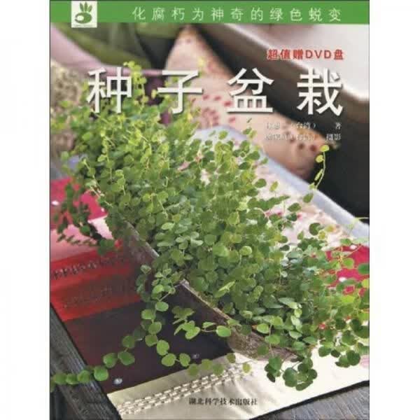 种子盆栽9787535240927