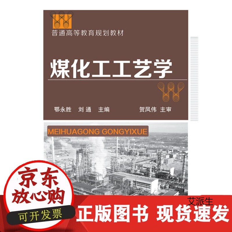 煤化工工艺学 鄂永胜 煤化工生产反应原理 煤化工生产与环境保护 炼焦及化学产品回收 煤低温干馏 煤