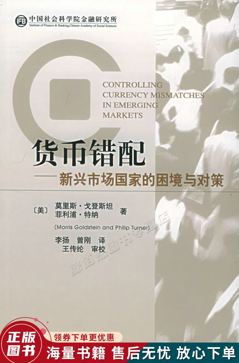 货币错配：新兴市场国家的困境与对策