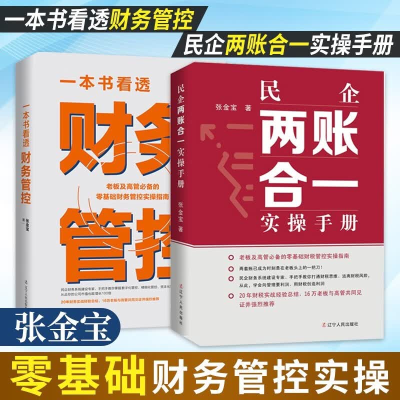 民企两账合一实操手册+一本书看透财务管控 2册 财务管理书籍 一本书看透财务管控 财务的力量