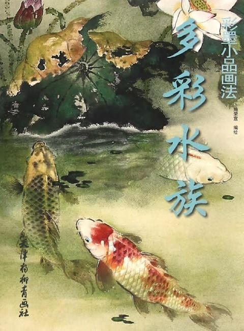 多彩水族 施荣宣
