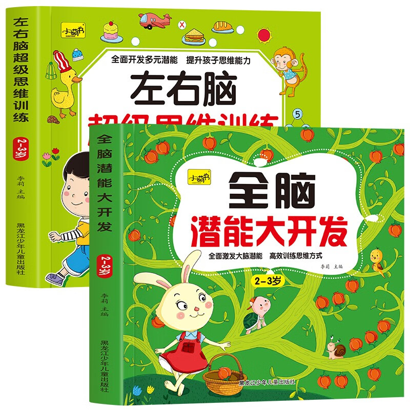 左右脑全脑智力开发幼儿专注力训练启蒙2-3-4-5-6岁儿童全脑逻辑思维训练早教启蒙益智游戏书 全脑开发思维训练2-3岁2册