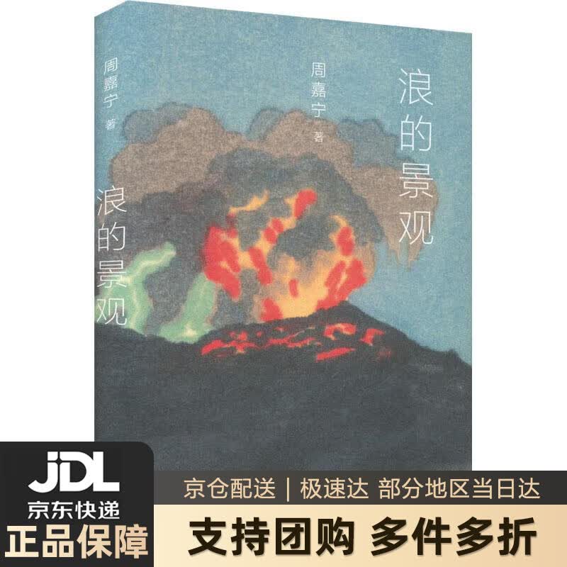 【 送货上门】浪的景观（暌隔四年，乘风而归，周嘉宁千禧一代中篇三部曲）【京东专享限量版明信片（陆智昌设计）】