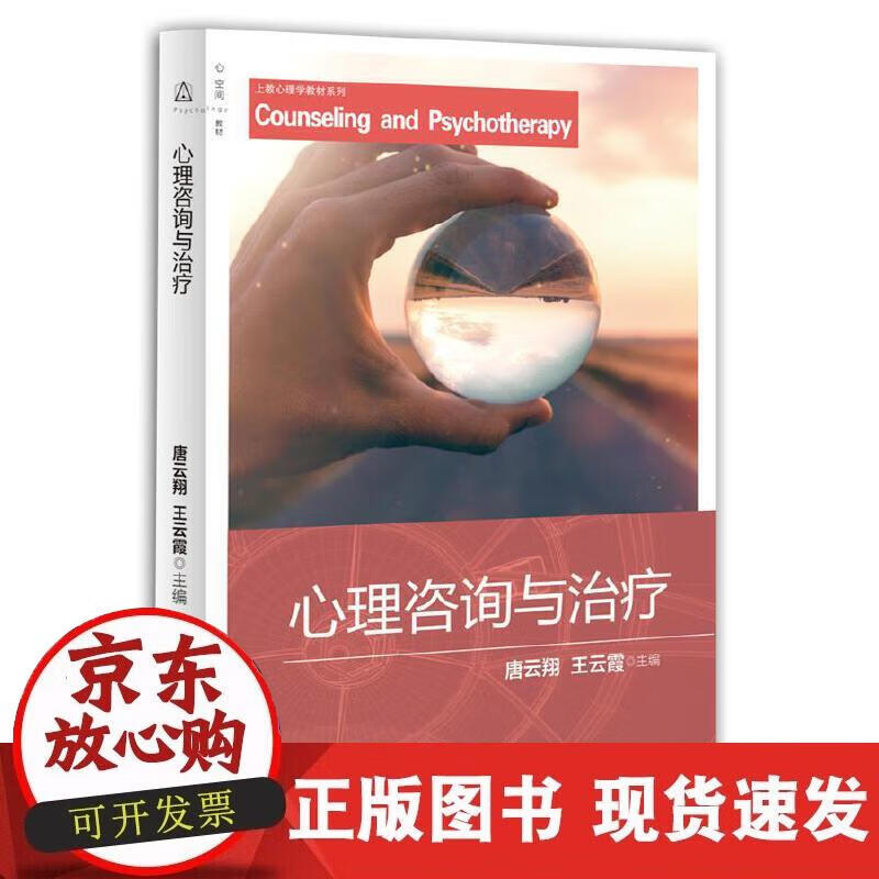 【现货】心理咨询与治疗