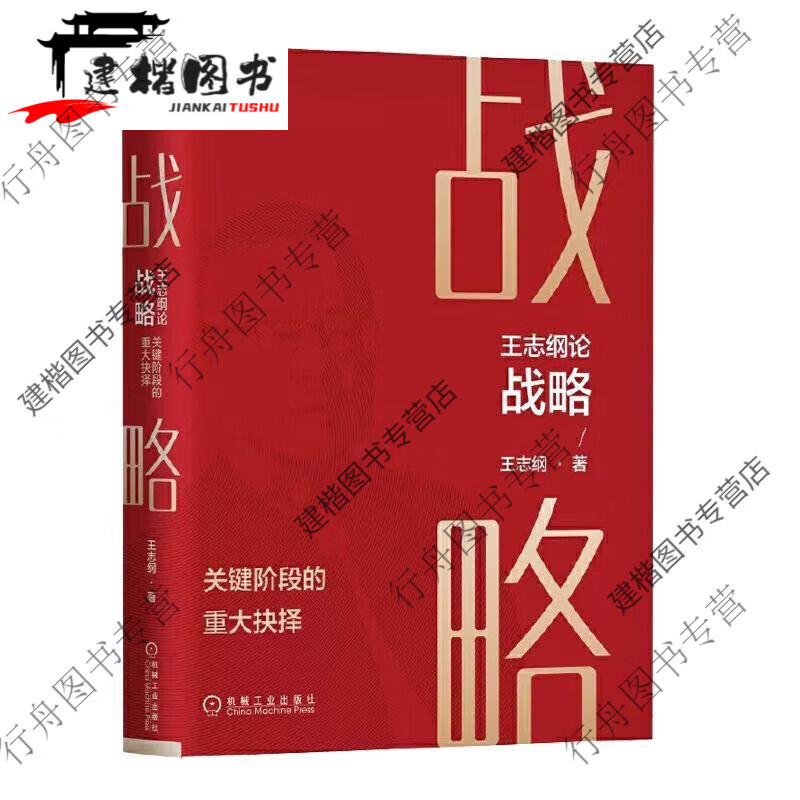 现货王志纲论+大国大民 王志纲书籍 战略