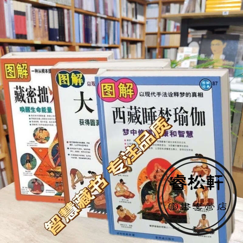 印版 图解西藏睡梦瑜伽+图解大手印+图解藏密拙火禅修法 三本