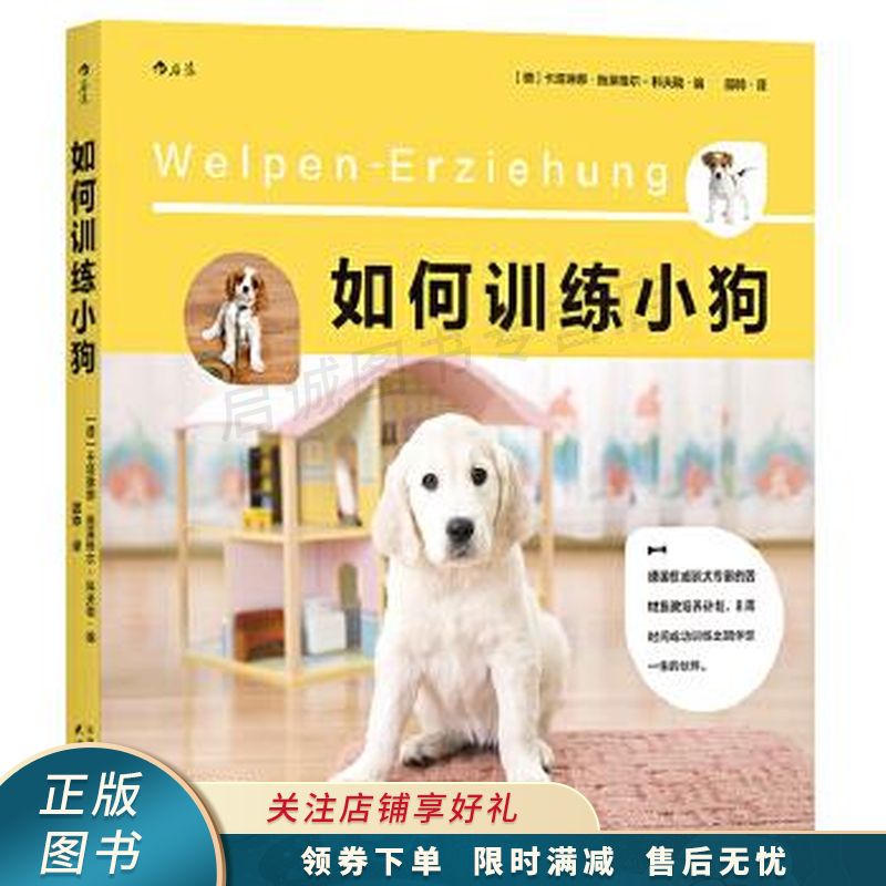 如何训练小狗