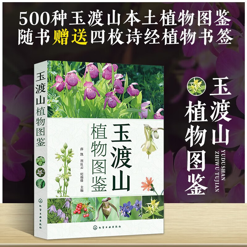 玉渡山植物图鉴