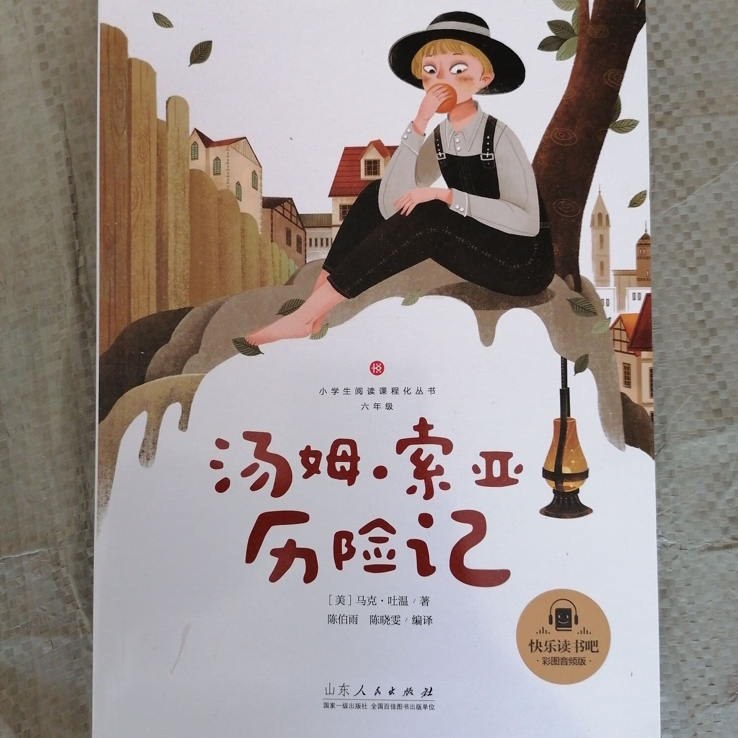彩图音频版六年级童年爱的教育鲁滨逊雨来骑鹅旅行汤姆索亚爱丽丝 汤姆索亚历险记（单本）