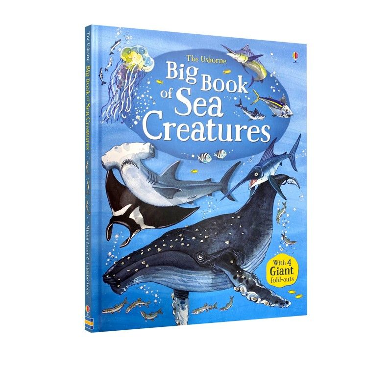 英文 Usborne Big Book 精装大开本 儿童数字单字启蒙图画辞典 子趣味互动游戏绘本 Sea Creatures 海洋生物
