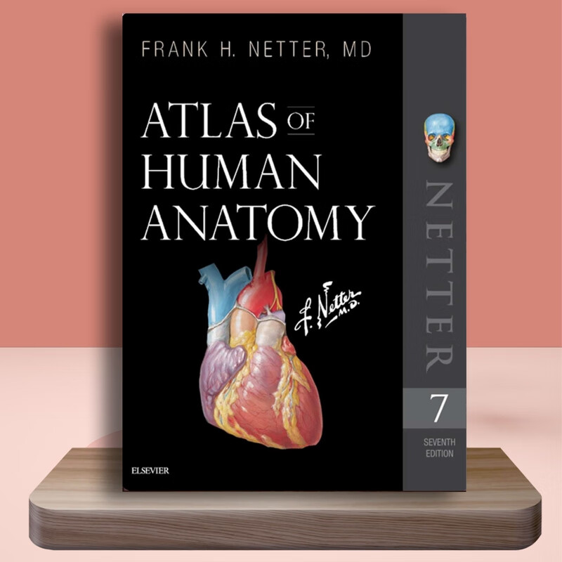 全彩Atlas of Human Anatomy (Netter Basic Science) 7thEdition PDF电子版