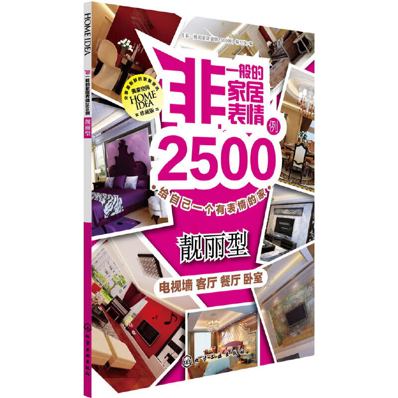 非一般的家居表情2500例.靓丽型
