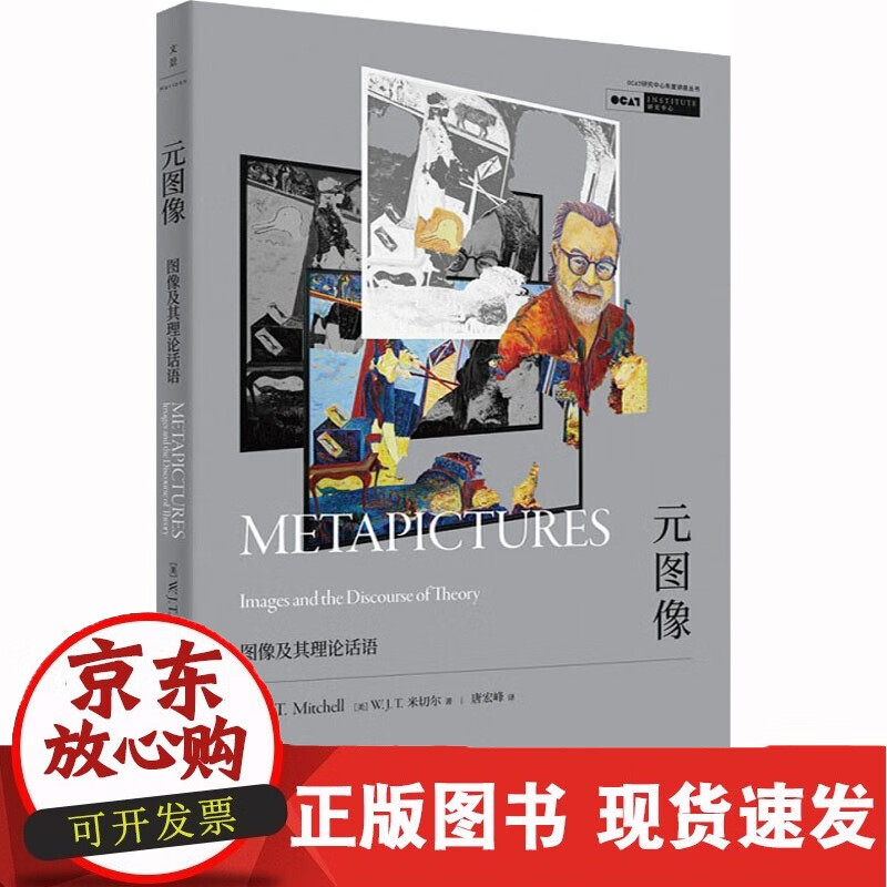 C 元图像 图像及其理论话语 上海人民出版社