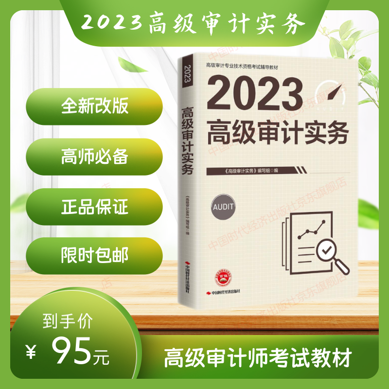 【官方直营】2023年高级审计师考试教材 高级审计实务 全新改版 单本包邮 2023考试必备