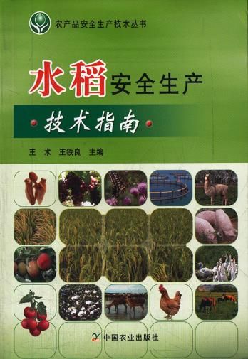 水稻安全生产技术指南9787109165021