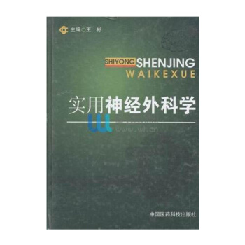 实用神经外科学 王彬 著