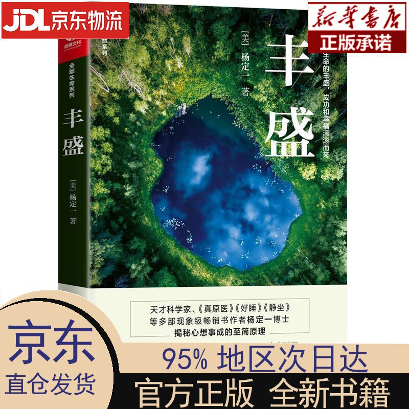 丰盛 杨定一 精装+彩印 简体中文版图书（步入生命的丰盛，成功和幸福滚滚而来） [美
