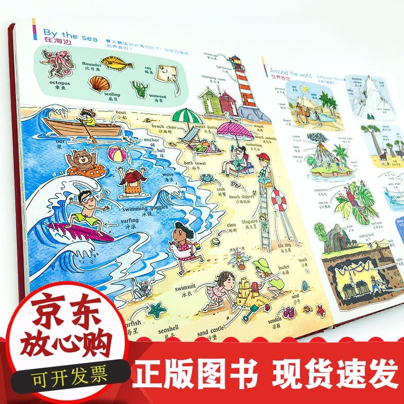 C 我的本情景英语单词大书