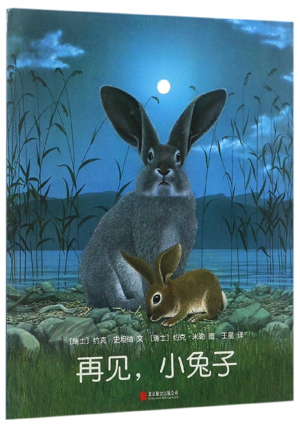 再见小兔子(精)