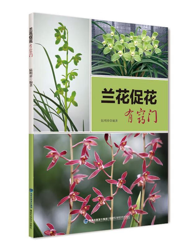 兰花促花有窍门 陆明祥 著【书】