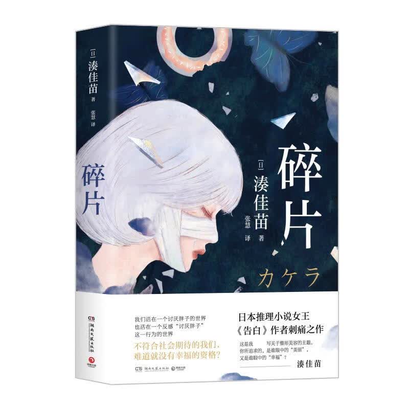 碎片 湊佳苗 湖南文艺出版社