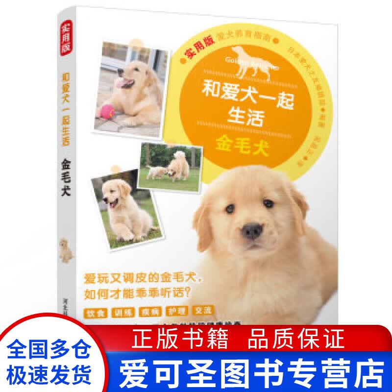 金毛犬 和爱犬一起生活(实用版) 金毛犬饮食训练疾病护理交流 日本爱犬之友辑部【好书，下单速发】