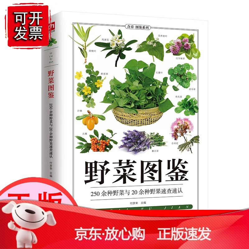 野菜图鉴 全新图解版[速发K]