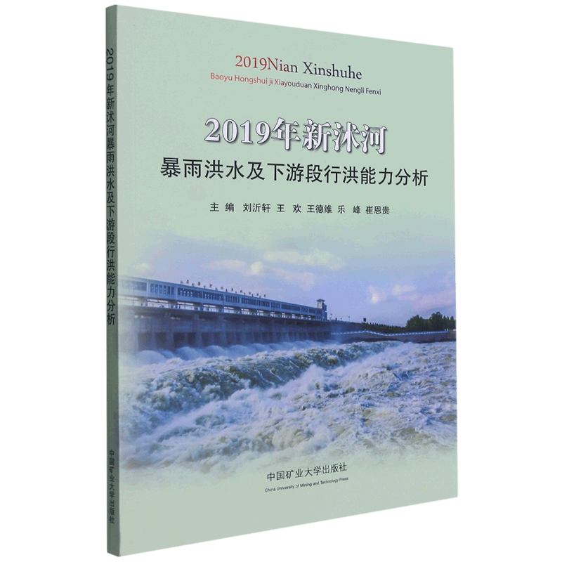 2019年新沭河暴雨洪水及下游段行洪能力分析
