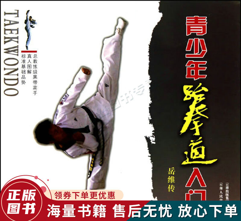 青少年跆拳道入门