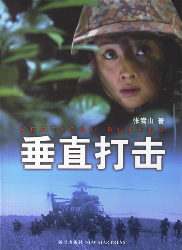 垂直打击 张嵩山 著【书】