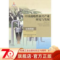 中国战略性新兴产业研究与发展·生物质能 韩文科 等机械工业出版社