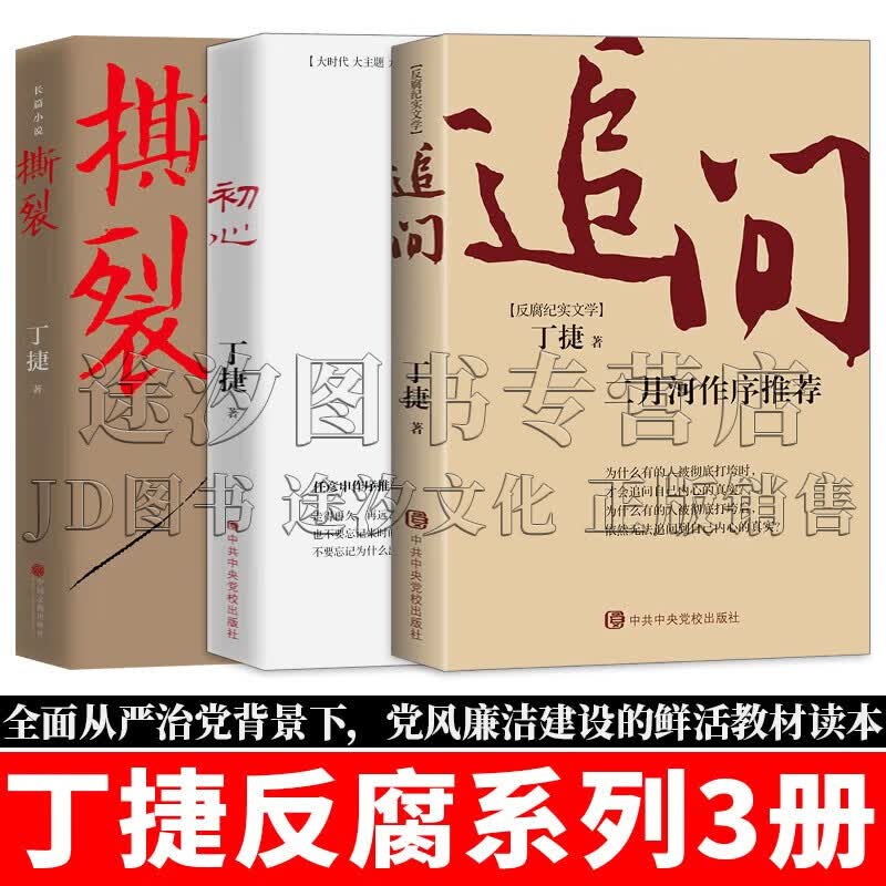 丁捷反腐系列3册 追问/初心/撕裂