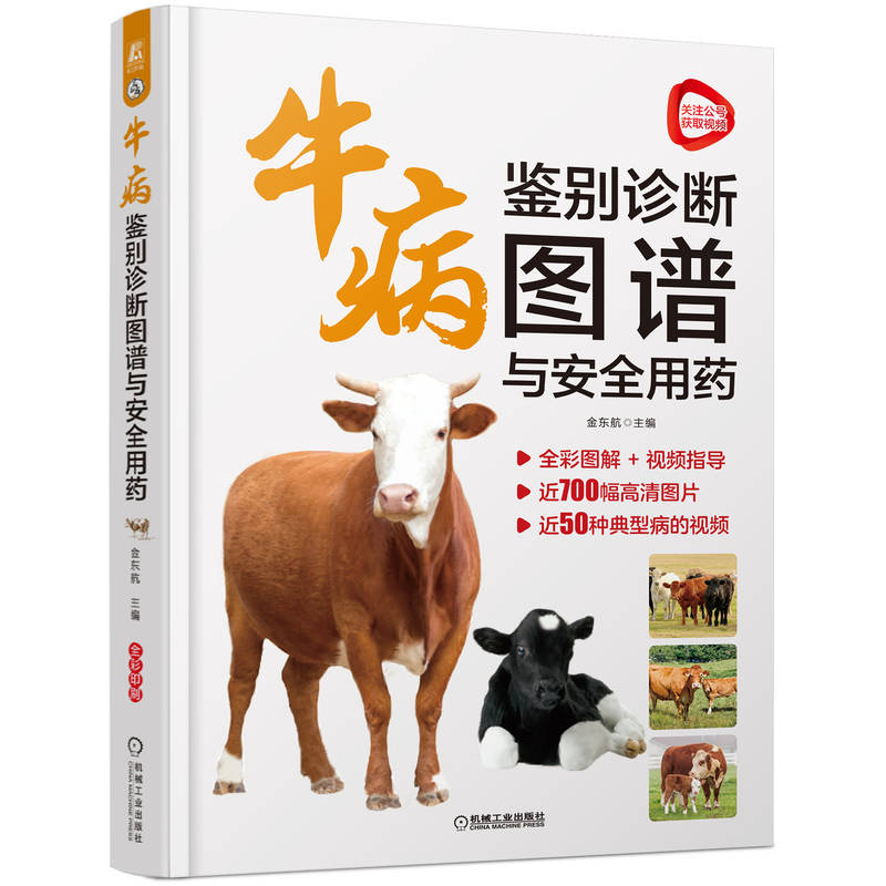 牛病鉴别诊断图谱与安全用药 金东航 9787111708025