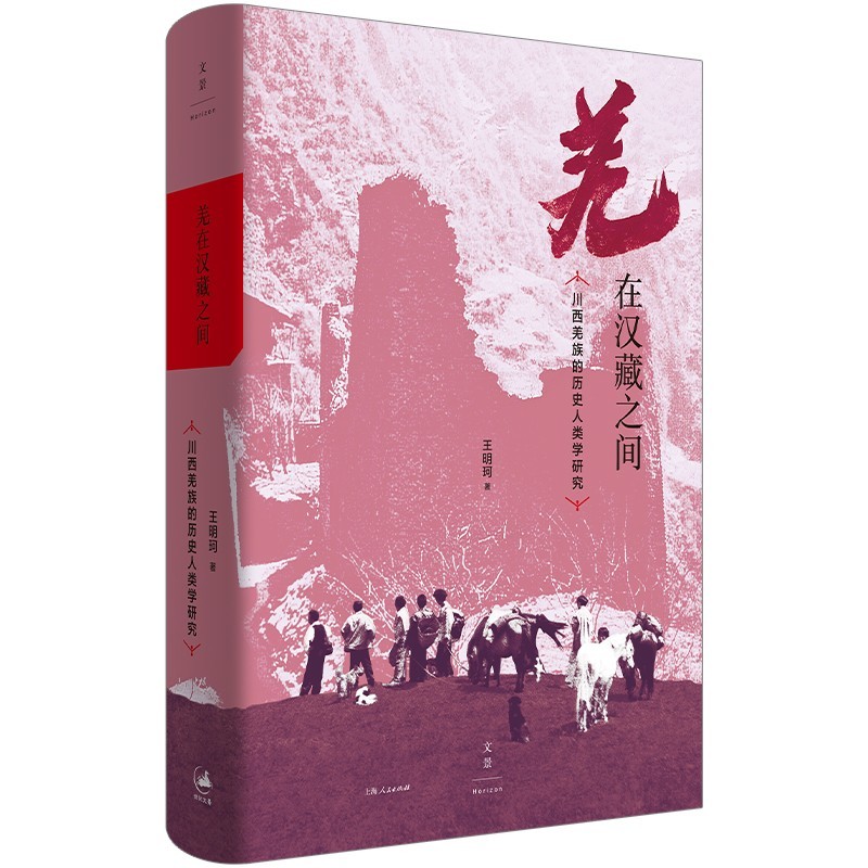 羌在汉藏之间：川西羌族的历史人类学研究  王明珂 著  世纪文景