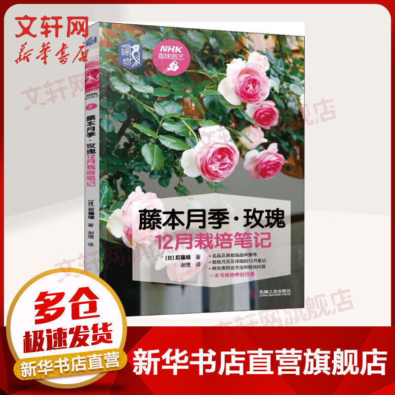 藤本月季·玫瑰12月栽培笔记
